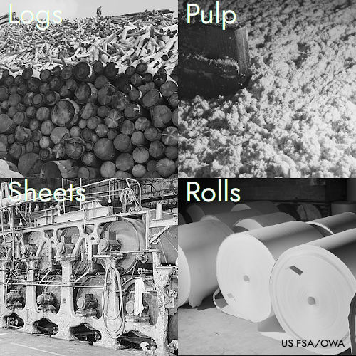 How Is Paper Made Explain That Stuff